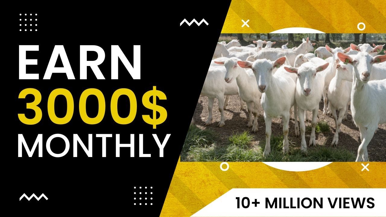 how to make money with goats and sheep | how to earn money with goats ...
