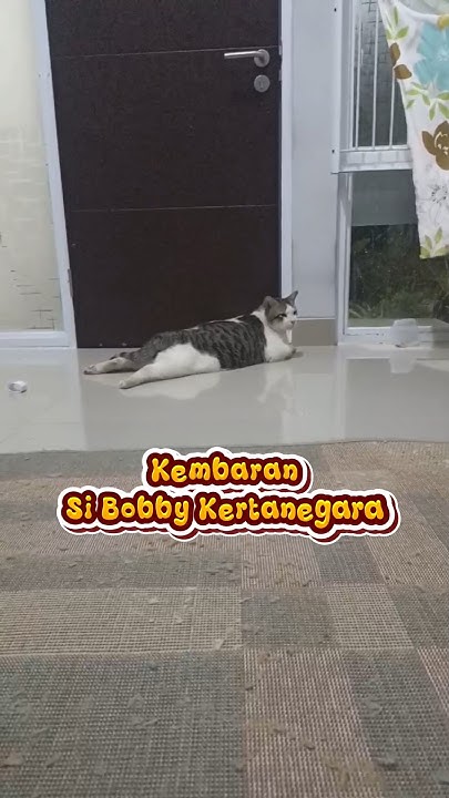 Piko kembaran si #bobbykertanegara - YouTube