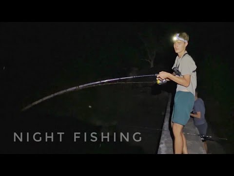 Night Fishing an African lake using LARGE cut baits (Tiger and Barbel ...