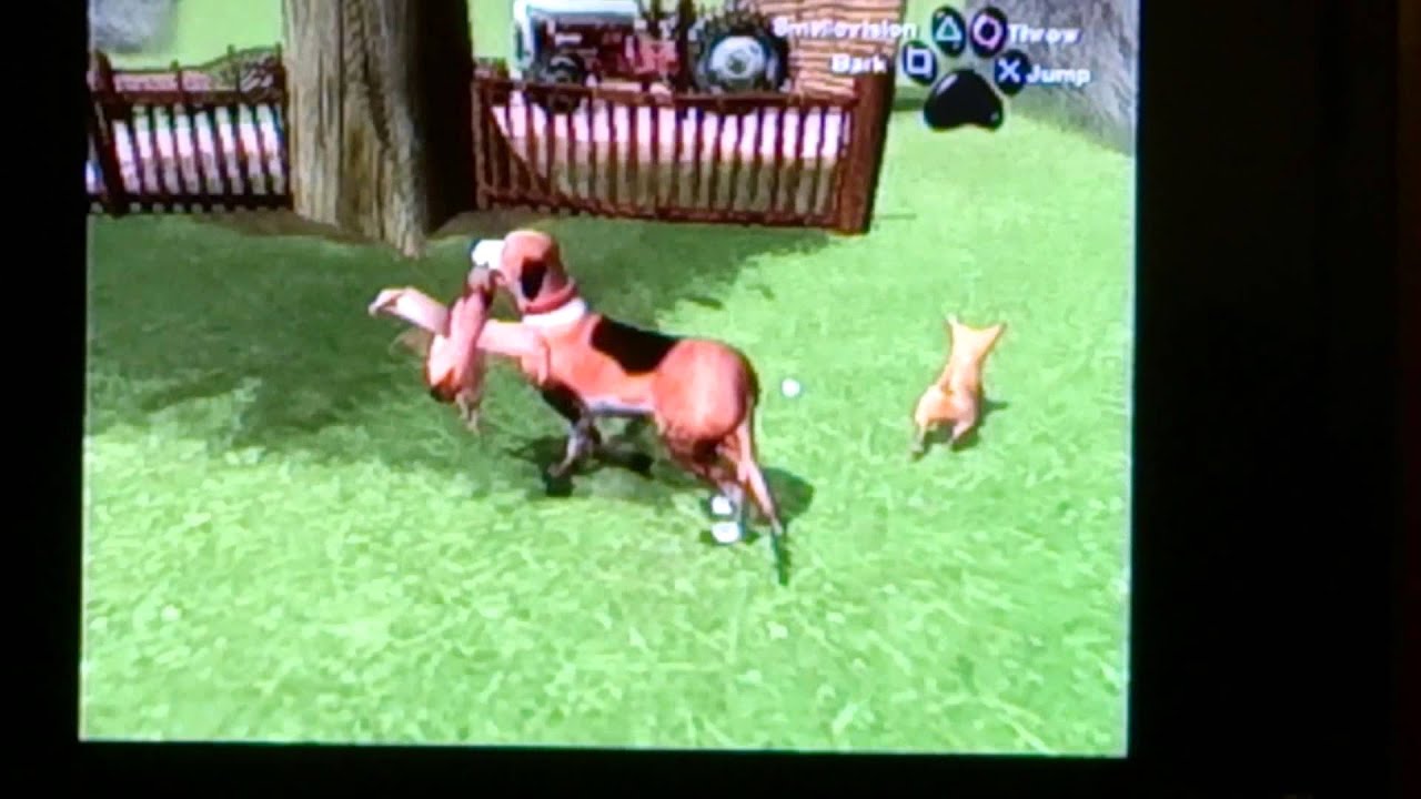 Ps2 dogs life part 1 - YouTube