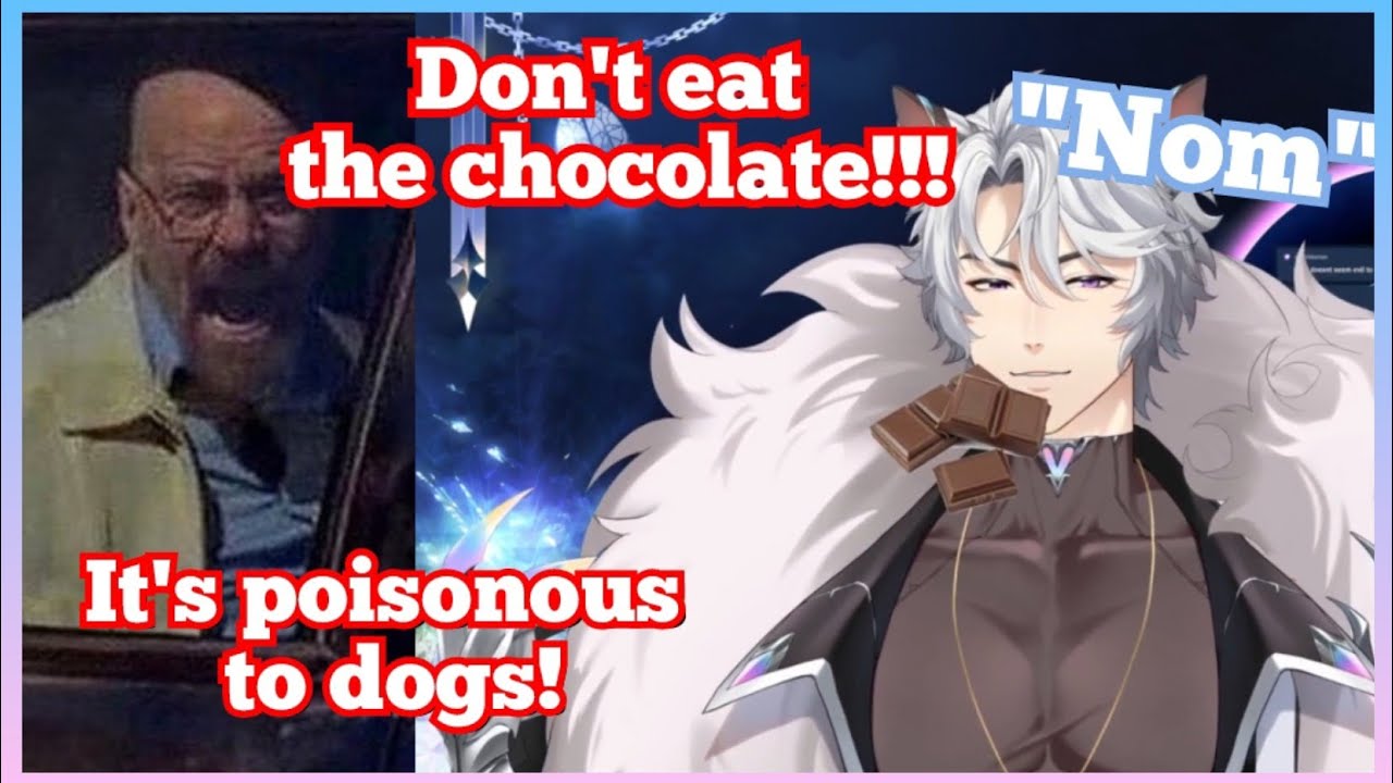 Wolves Can't Eat Chocolate!!! 【Hikaru_kun】【Male Vtuber Clip】 - YouTube