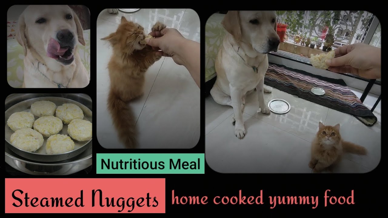 No mess Food for Travel.Homemade Steamed Chicken Nuggets for my dear ...