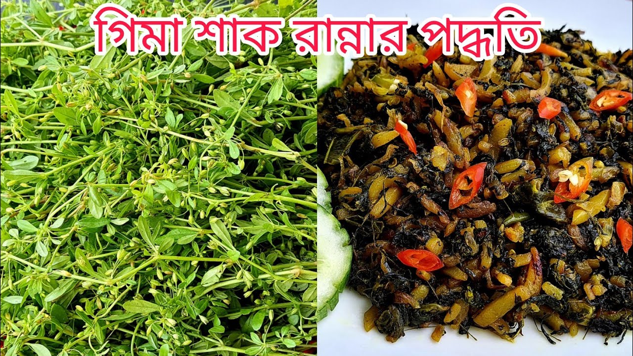 তিতা না হওয়ার টিপস সহ গিমা শাক রেসিপি। Gima Shak Recipe। Bengali ...