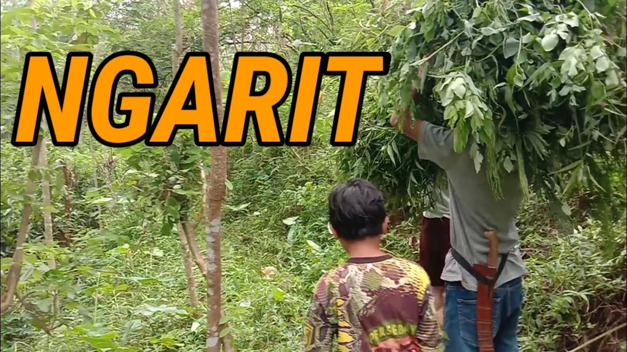 Ngarit. - YouTube