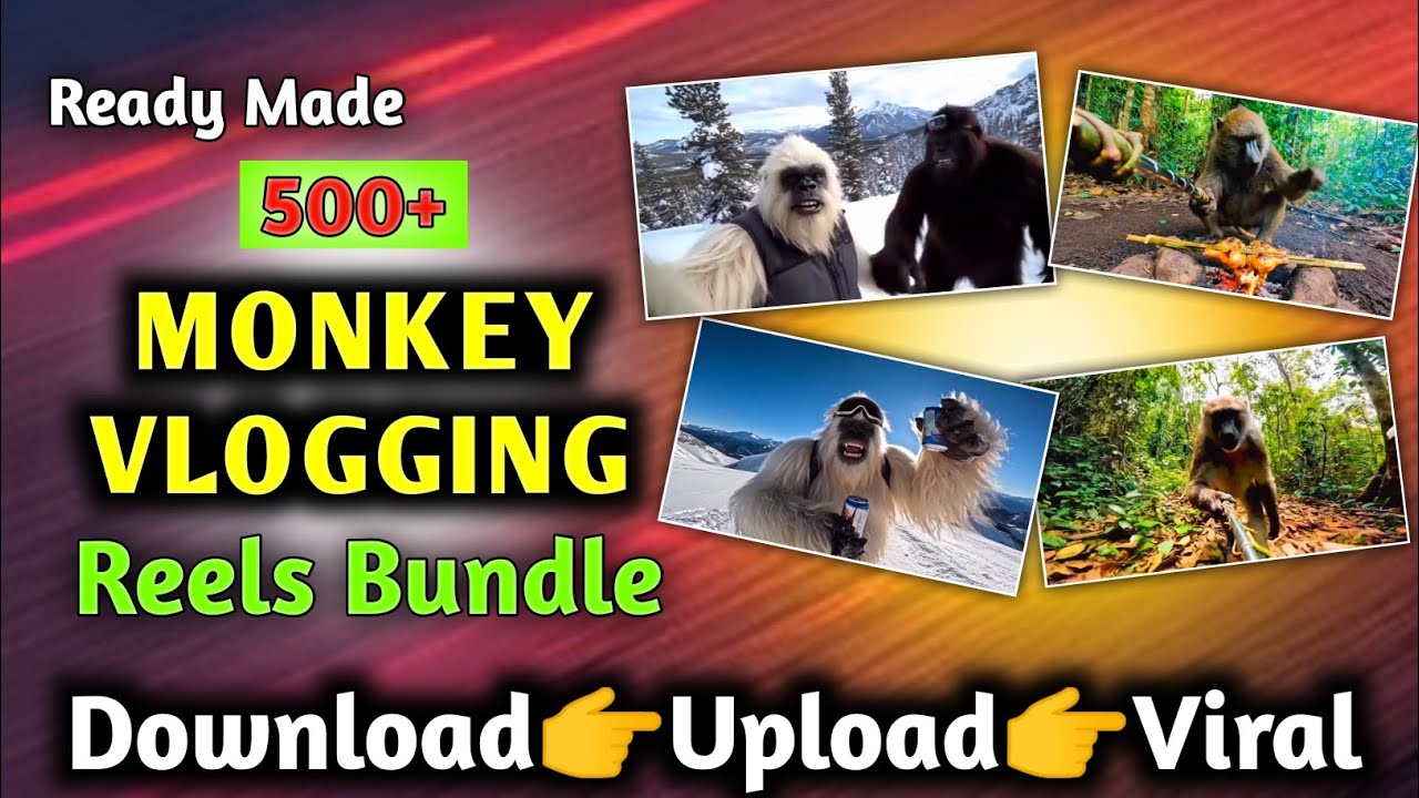 😱New launch: 500+ Ai Monkey Vlogging Reels Bundle🤩Ai Monkey Vlogs Video ...