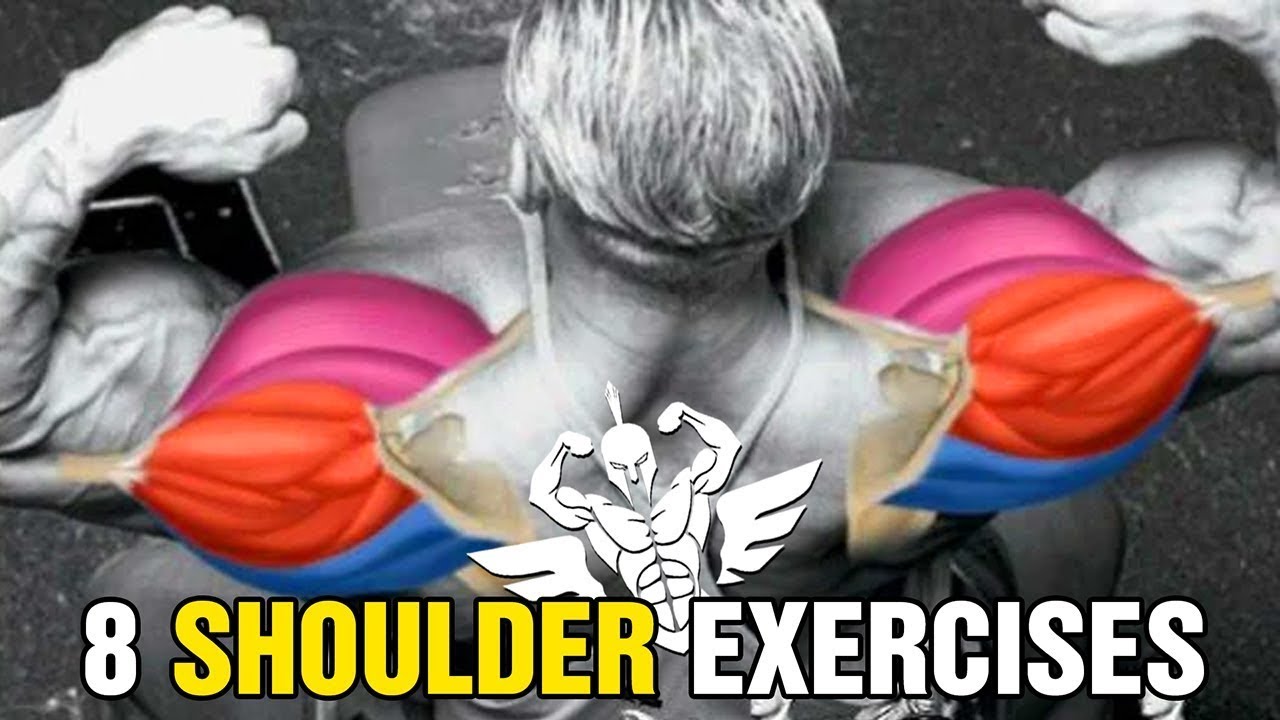 8 Effective Shoulder Muscle Building Exercises For Bodybuilders - YouTube