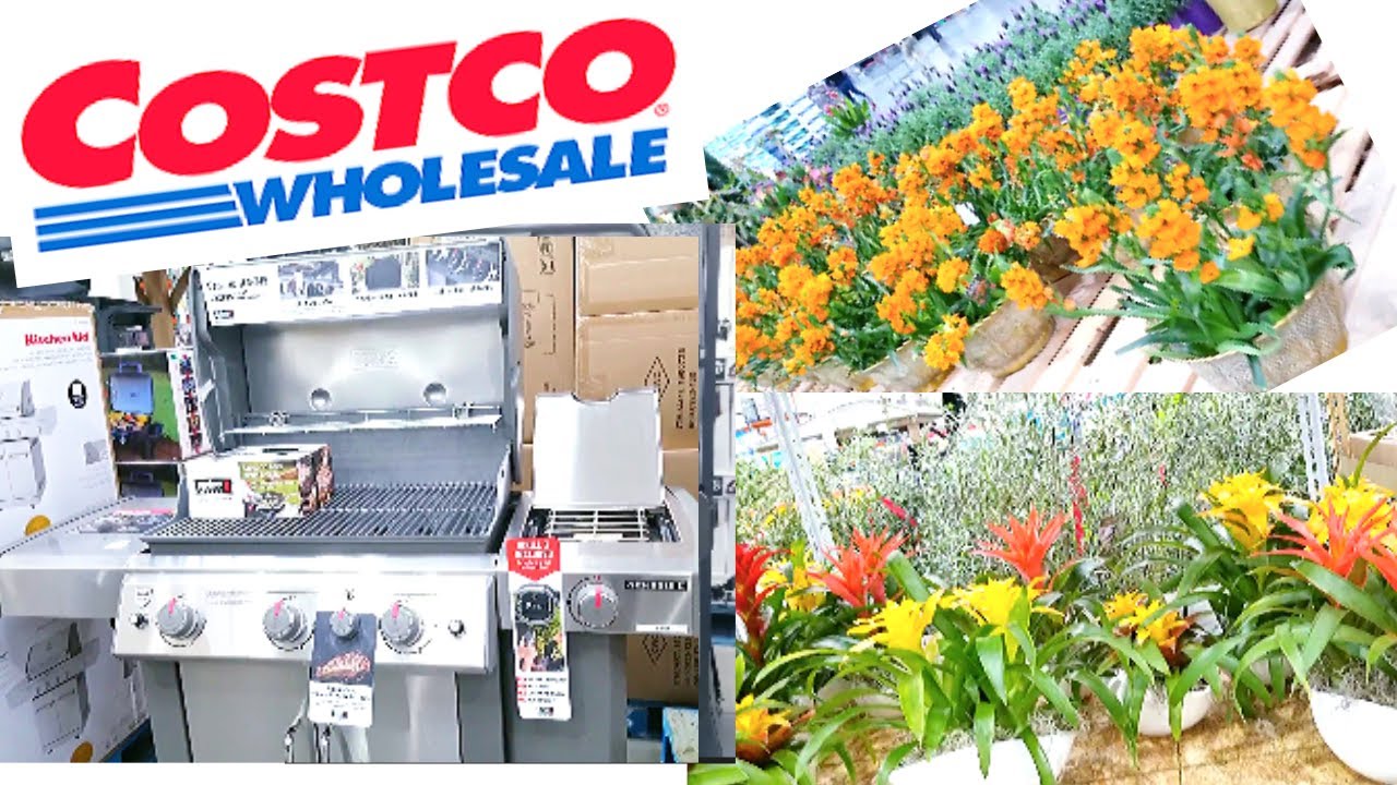 Costco Spring Shopping Plants & Garden Supplies Outdoor Barbecue grill ...