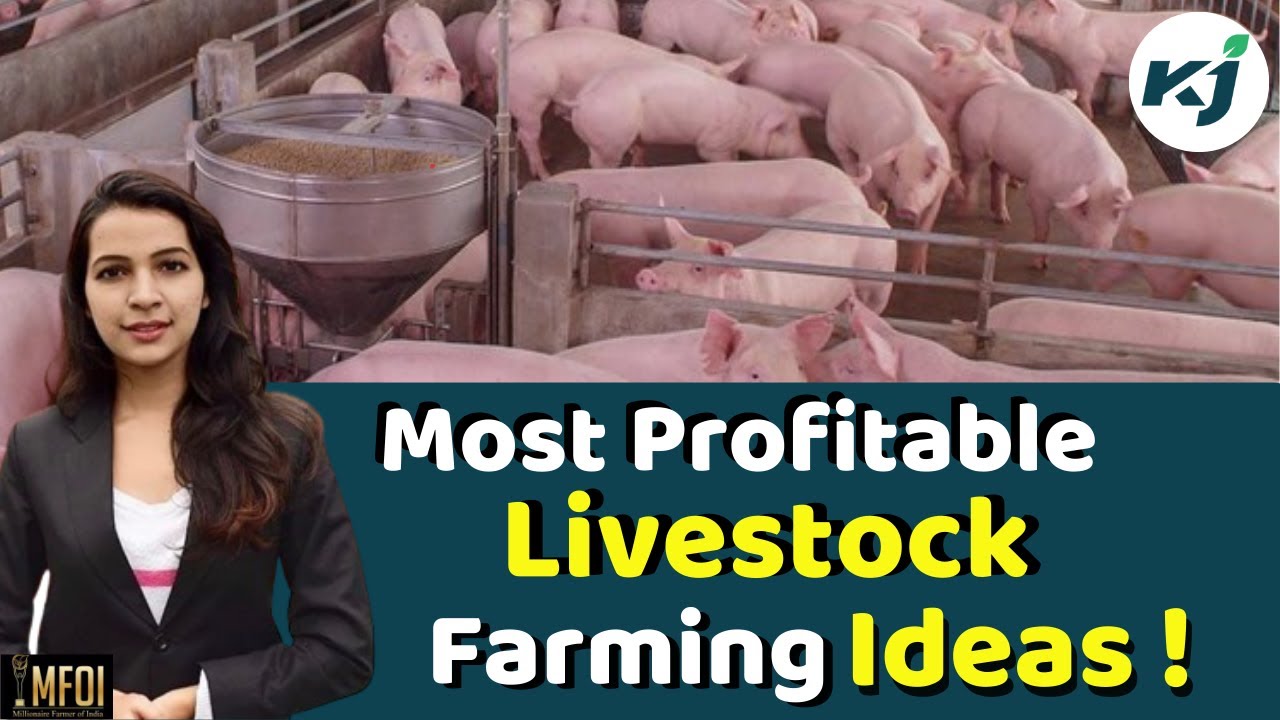News: Best Profitable Livestock Farming business Idea in India | Animal ...
