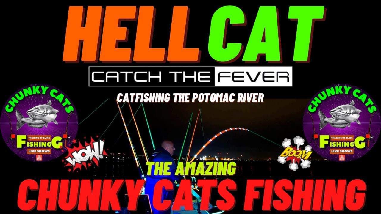 Fishing Potomac River!! Blue Catfish - YouTube