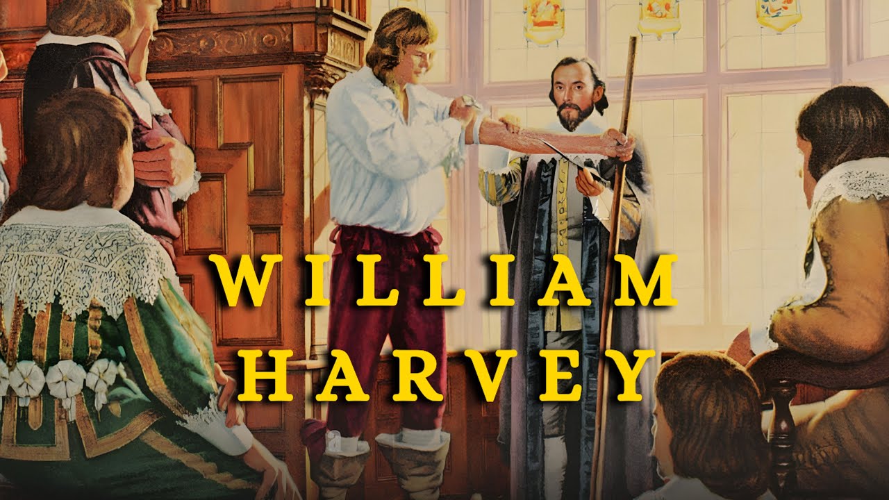 William Harvey: The Man Who Discovered Blood Circulation - YouTube