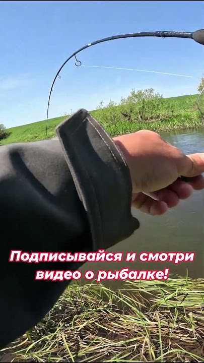 Блесна для рыбалки AQUA Срез 46mm, вес - 10,0g, колебалка, вертикалка ...