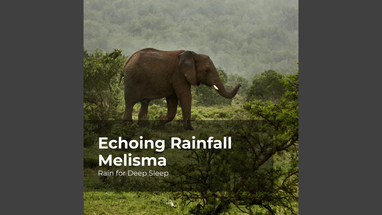 Nightfall Teeming Rain - YouTube