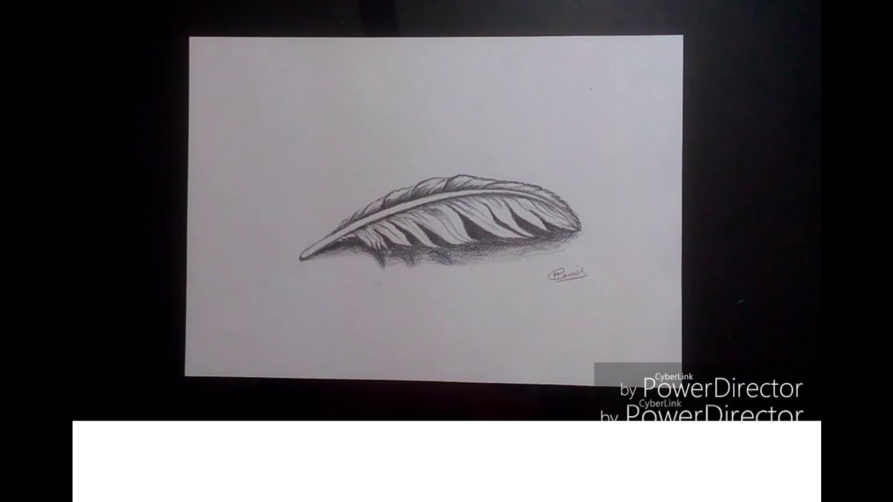 very easy to draw a feather's 3D sketch step by step - YouTube