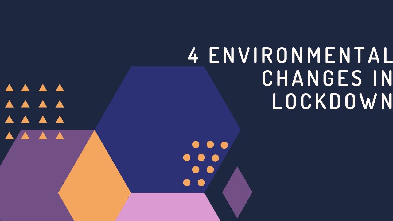 4 Environmental Changes in Lockdown - YouTube