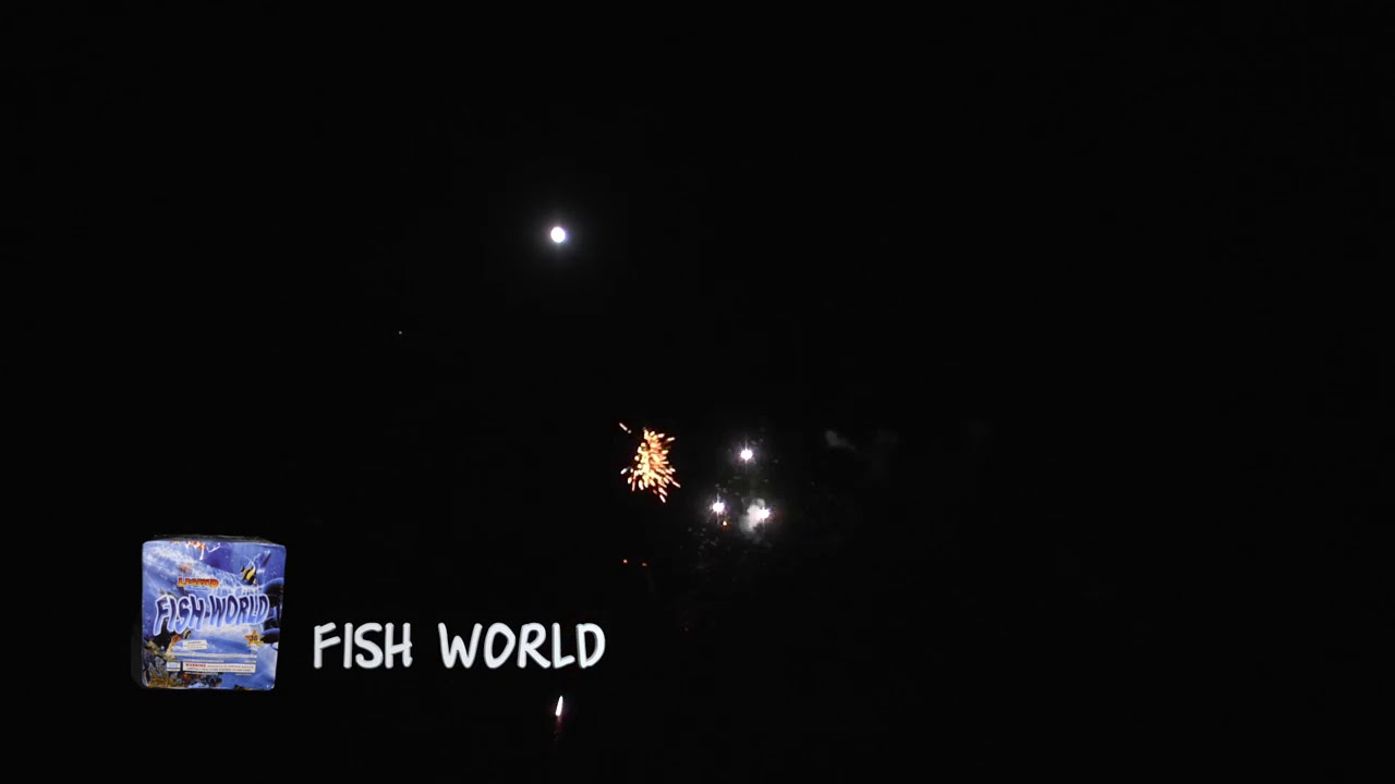 Fish World - Boom Town Fireworks - YouTube