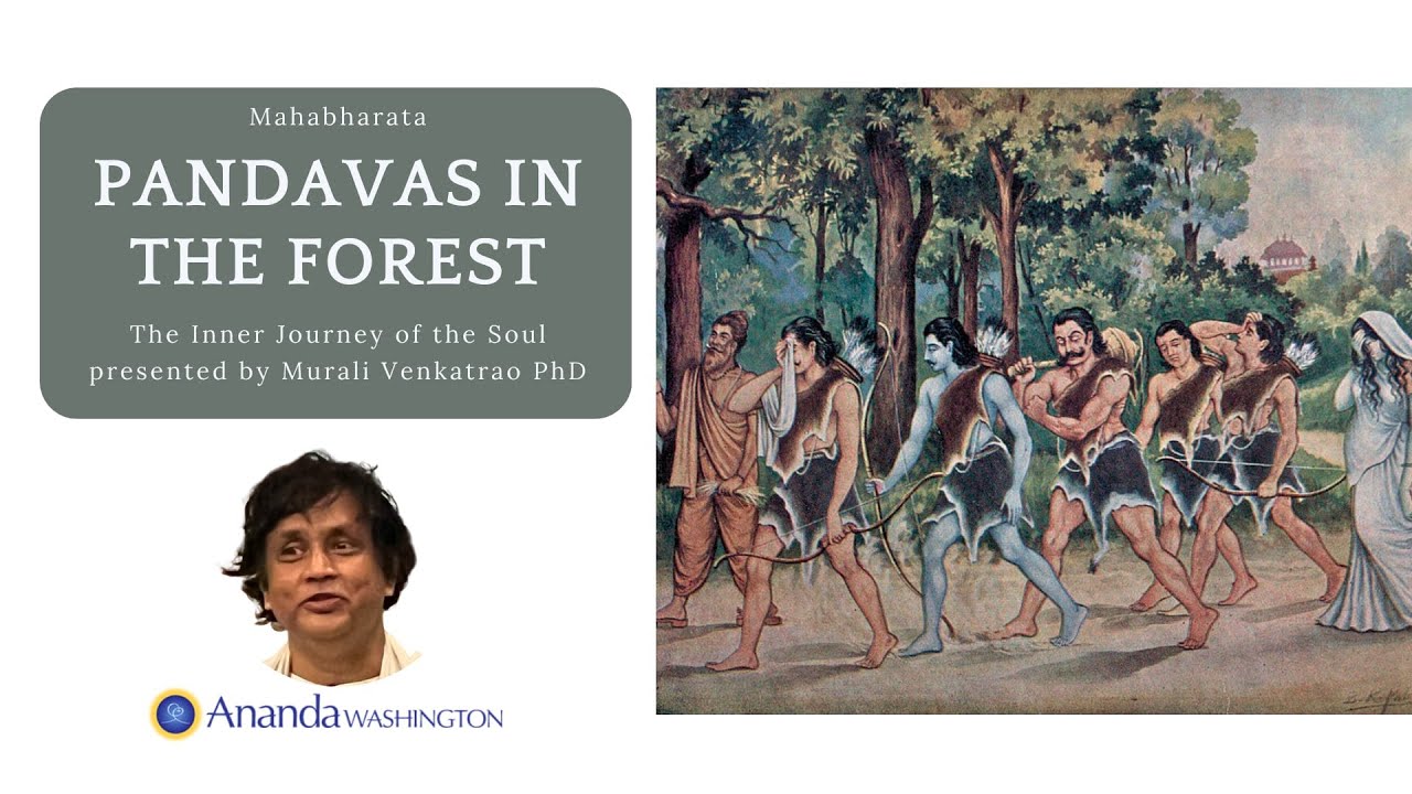Pandavas in the Forest | Tales of the Mahabharata with Murali Venkatrao ...