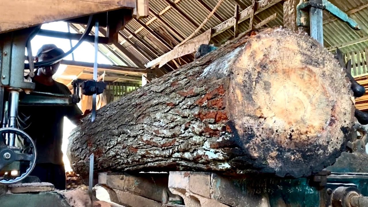 Pine wood sawing process for thin board material - YouTube