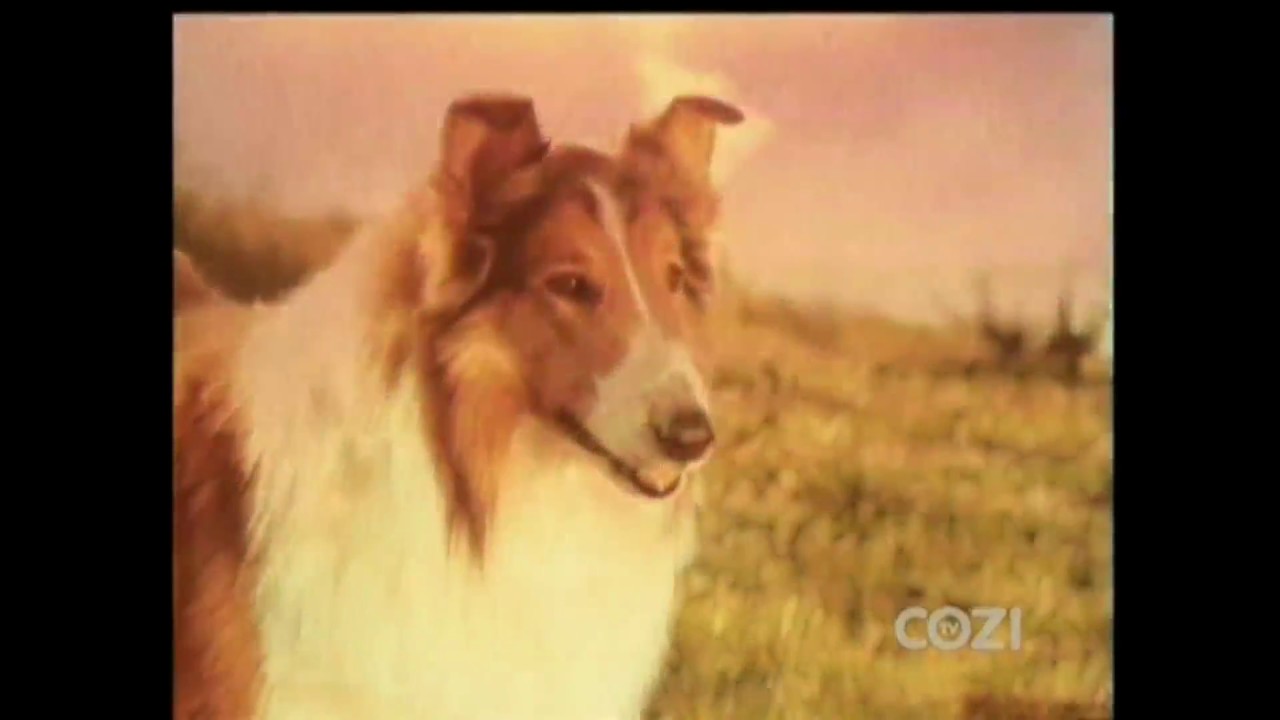 Lassie Episode 548 Aftermath Season 17 Ep 9 11 15 70 Youtube