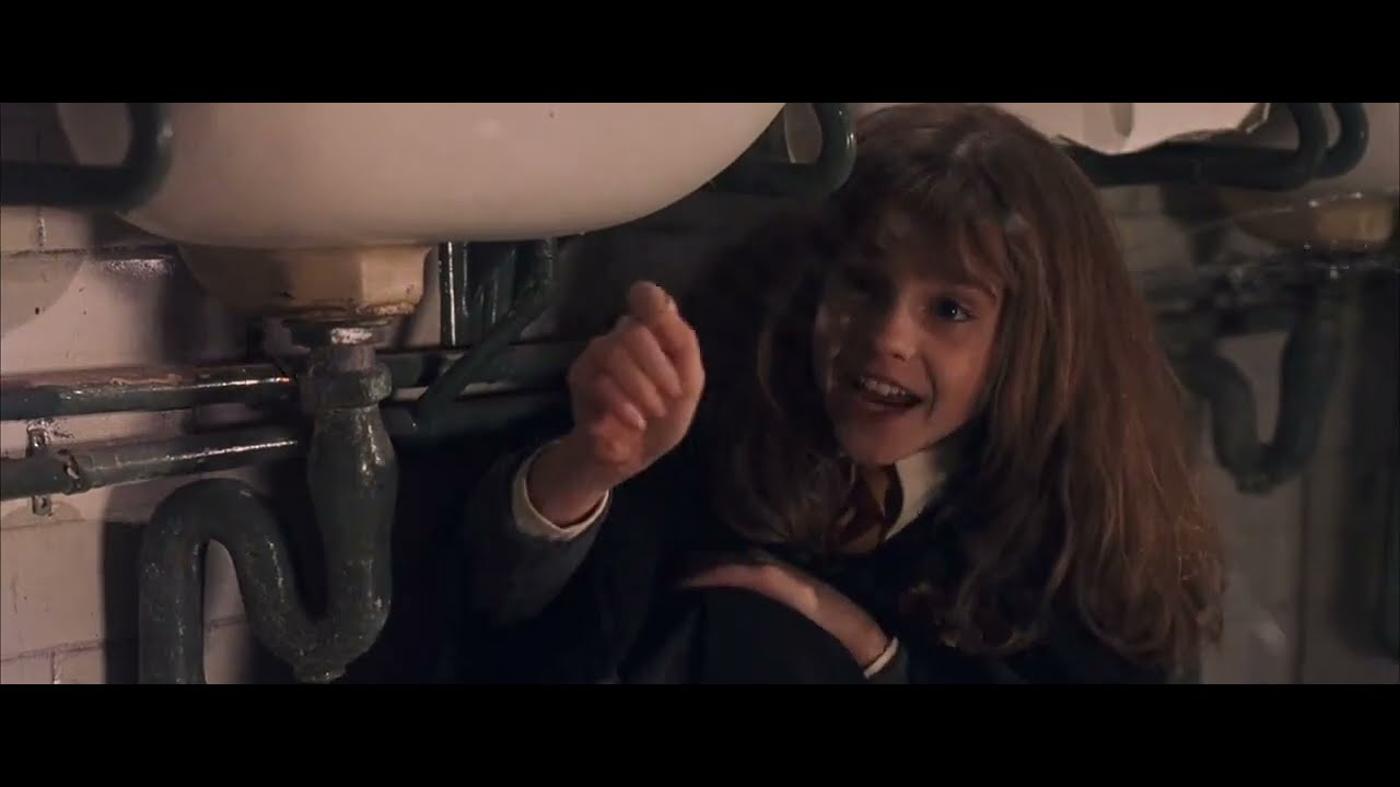 Harry and Ron saving Hermione from the troll | Harry Potter And The ...