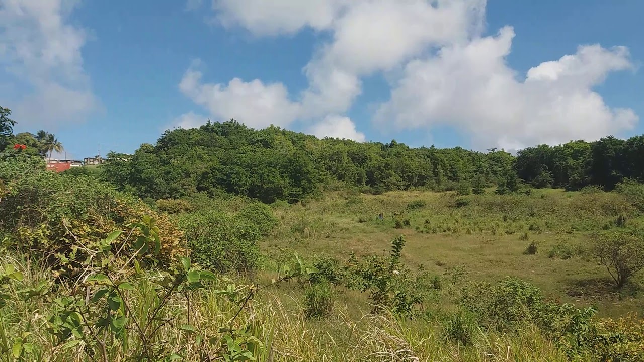 Lot A4 Walkes Springs St. Thomas Barbados - YouTube