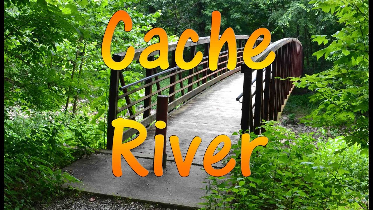 Cache River State Natural Area (Virtual Tour) - YouTube