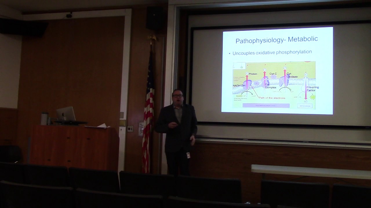 Dr. Sage Wiener - Analgesic Toxicity - YouTube