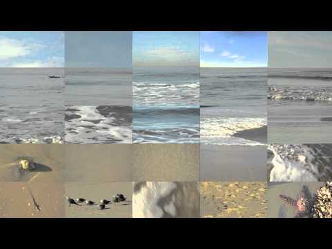 Matthew Chase-Daniel @ Currents: Santa Fe International New Media Fest ...