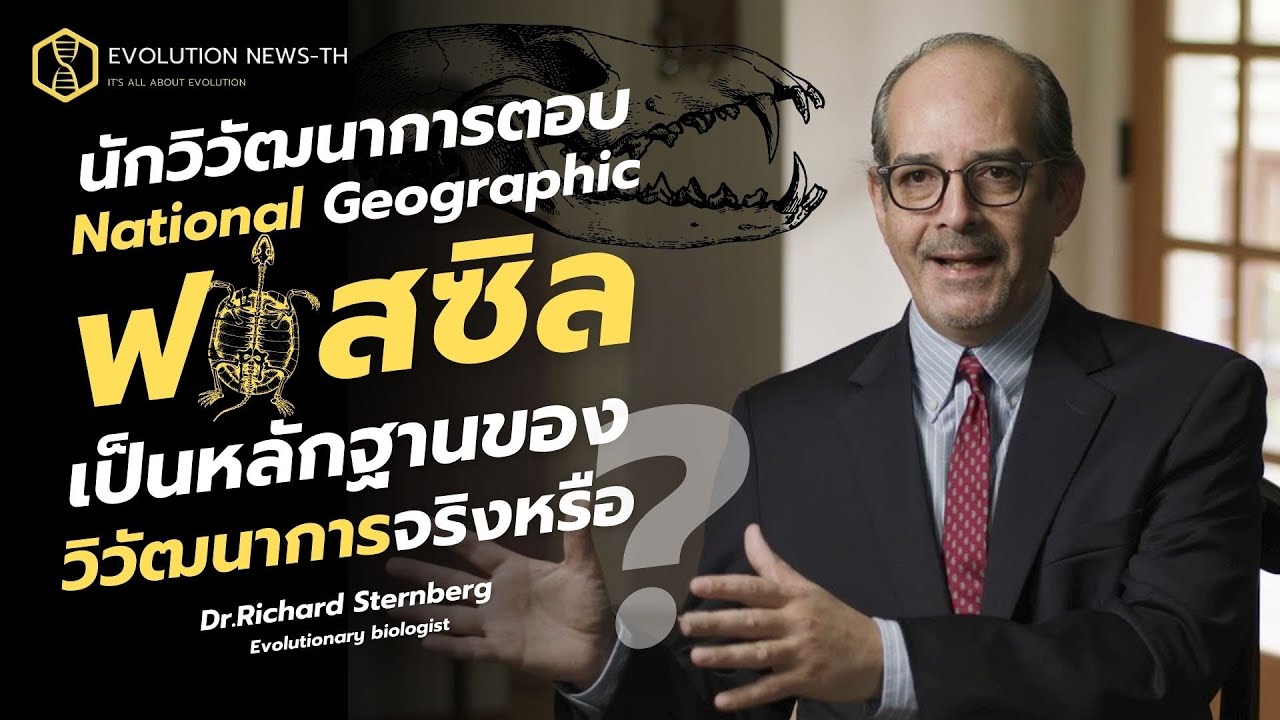 นักวิวัฒนาการตอบ National Geographic : ฟอสซิลเป็นหลักฐานของวิวัฒนาการ ...
