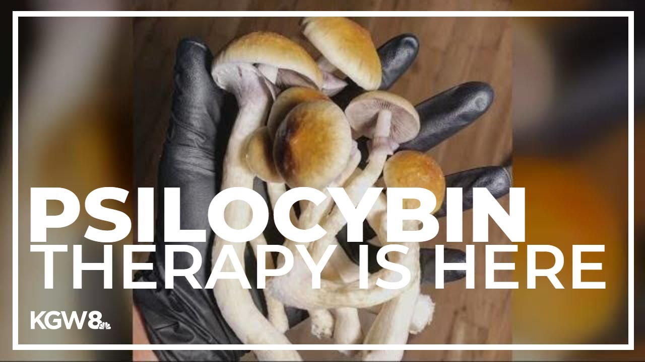 Oregon approves first psilocybin service center license in Eugene - YouTube