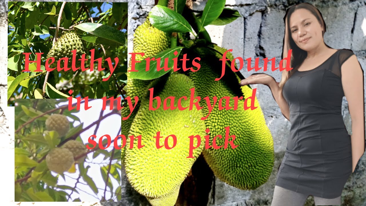 plants tree to save Earth, And eat healthy, fresh fruit. - YouTube