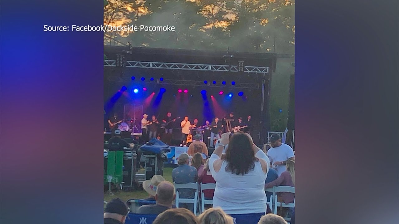 Pam Price Joins Us To Reveal A Special Addition To Dock Jam - YouTube