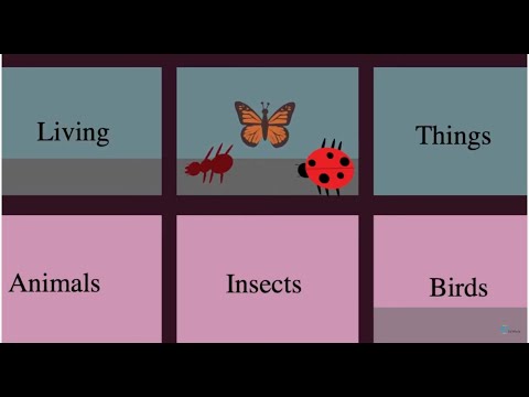 Why Are Insects Living Things