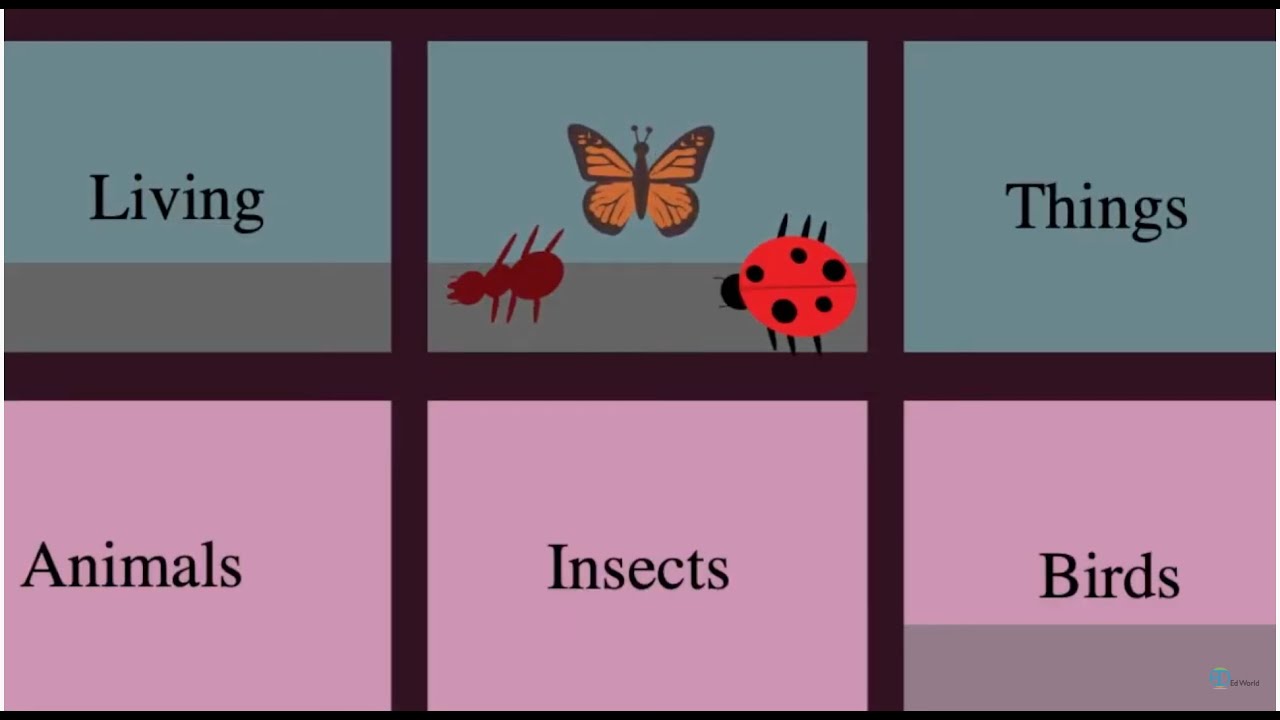 Living things Animals, Birds, Insects, - YouTube