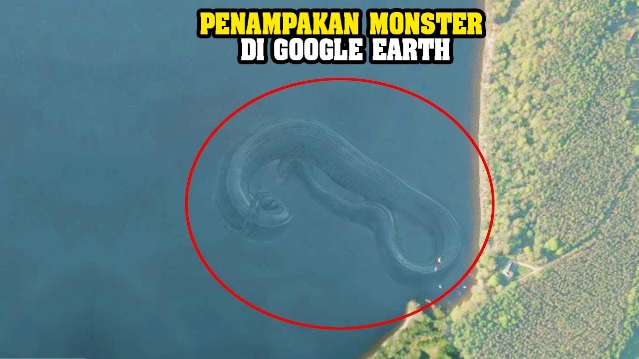 Semuanya Terlihat Sangat Jelas ! Keberadaan Monster Terekam Kamera ...