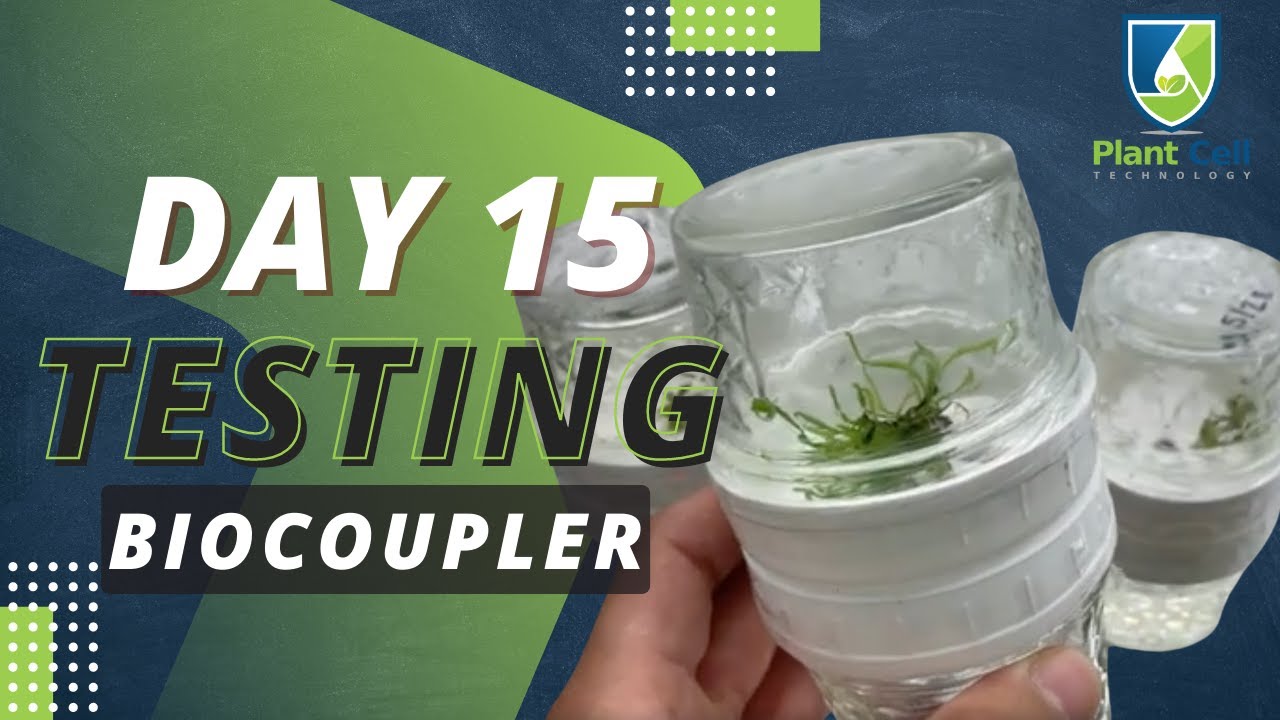 BioCoupler TM Testing - Day 15 - YouTube