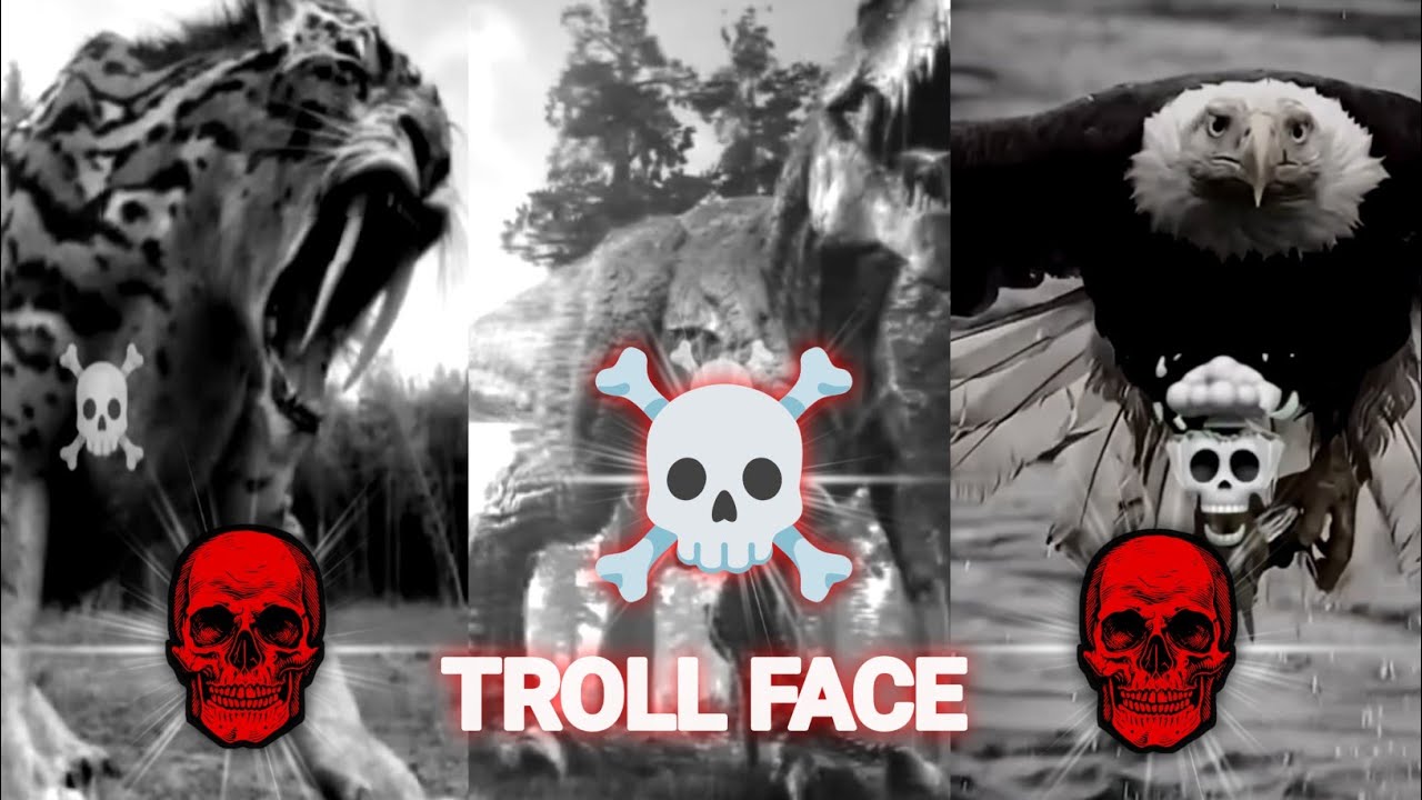 🥶Coldest Troll Face |Animal Moments |Unlimited Aura Animals - YouTube