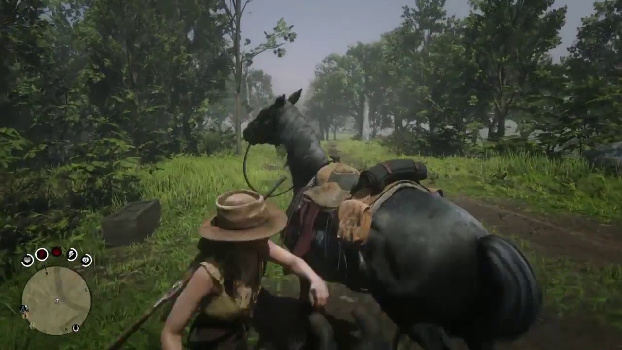 Red Dead Redemption 2 Online Trolling - YouTube