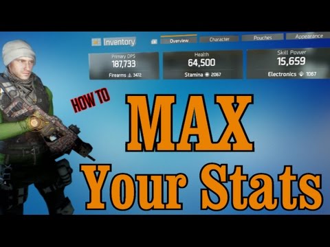 The Division: How to Max Out DPS, Health & Stamina. Get the MOST out of ...