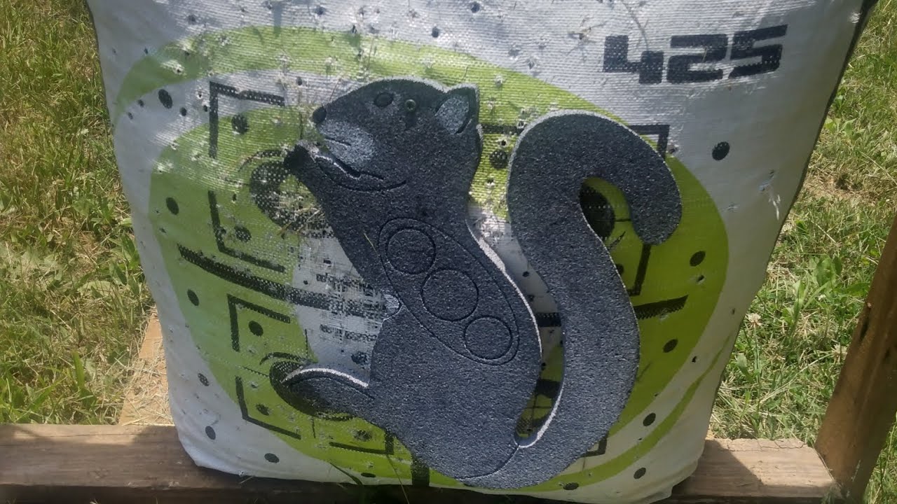 OnCore 2D Archery Target Review - The Gray Squirrel - YouTube