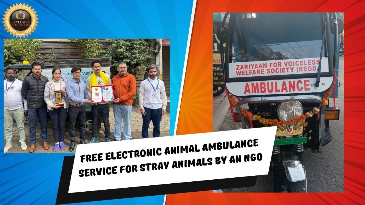 Free Electronic Animal Ambulance Service for Stray Animals by an NGO ...