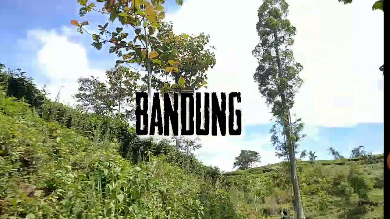 official bawong official - YouTube