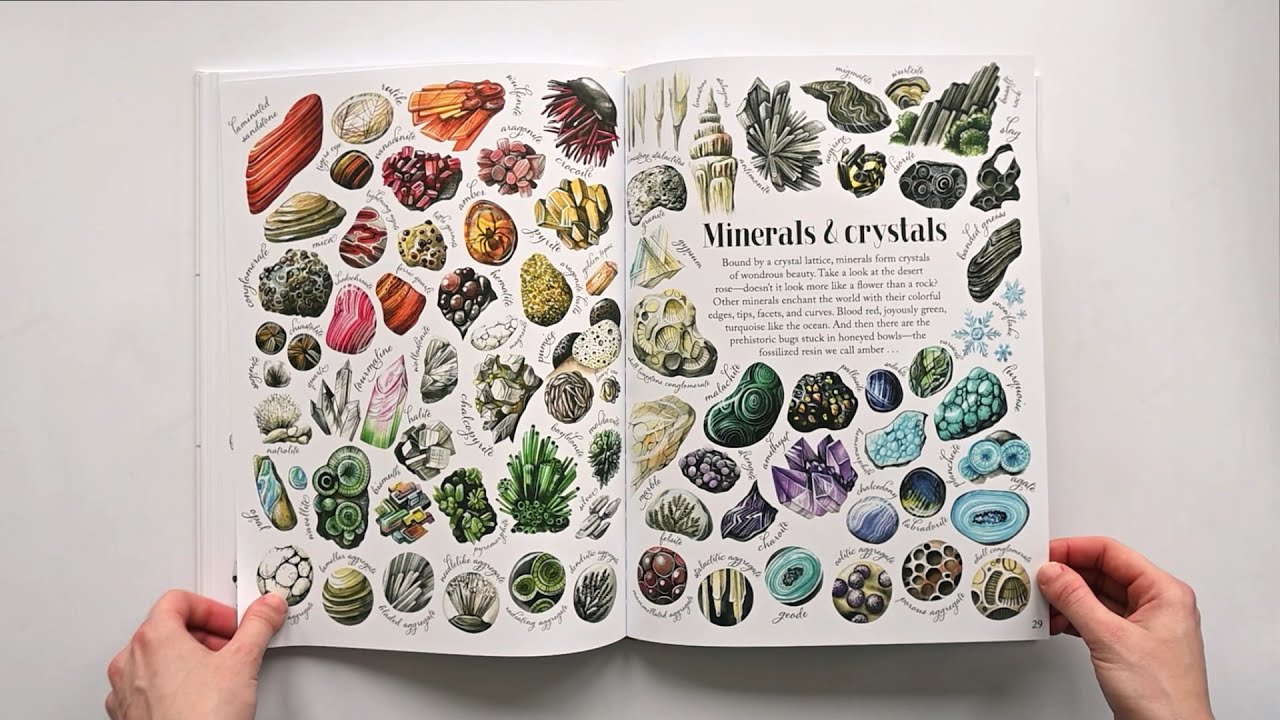 Geometric Shapes Patterns In Nature