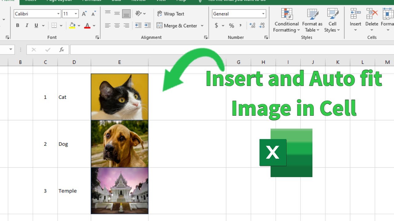 How to Insert images in excel cell - YouTube