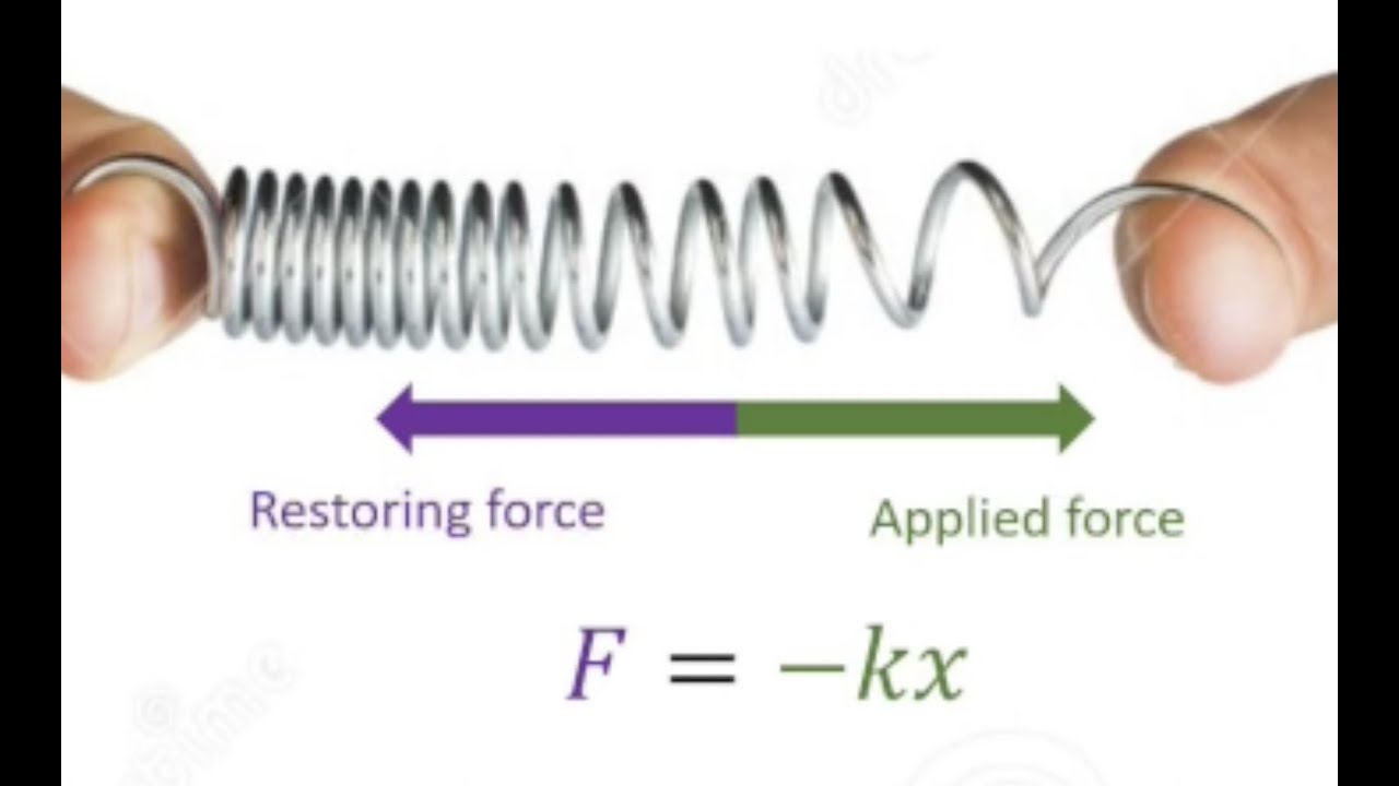 Springs & Simple Harmonic Motion SD 480p - YouTube