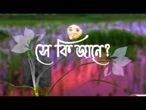 # seki Jane ovimane new best status video #