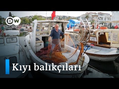 Boğaz'ın kadim avcıları: Kıyı balıkçıları - DW Türkçe
