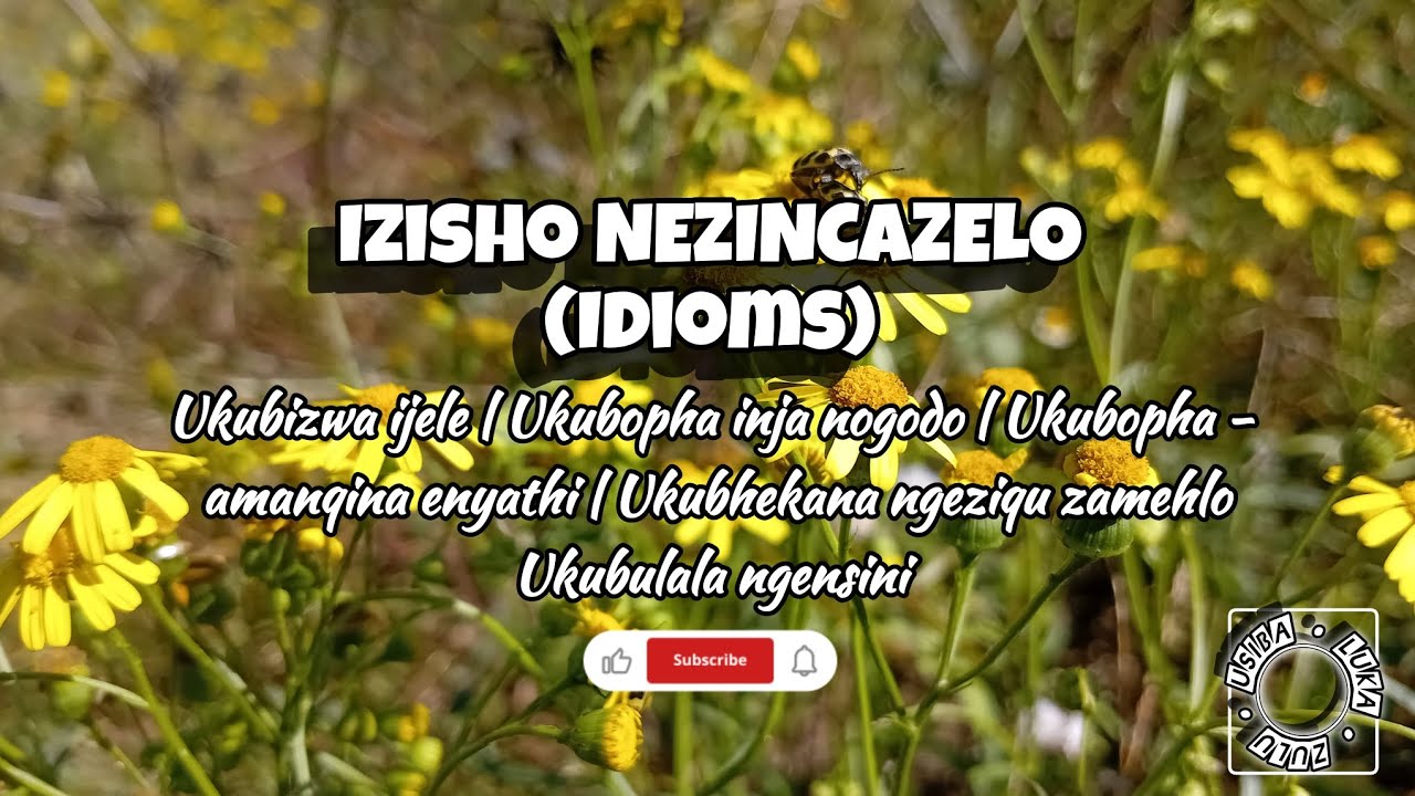 Izisho (Zulu Idioms)🇿🇦 Nezincazelo📺💡 - YouTube