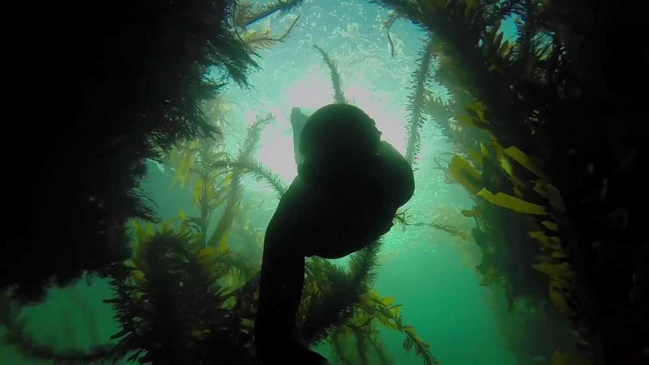 GOPRO-Laguna Beach cave dive (HD) - YouTube