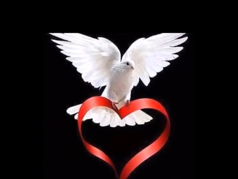 SEV DEDİNDE SEVMEDİM Mİ