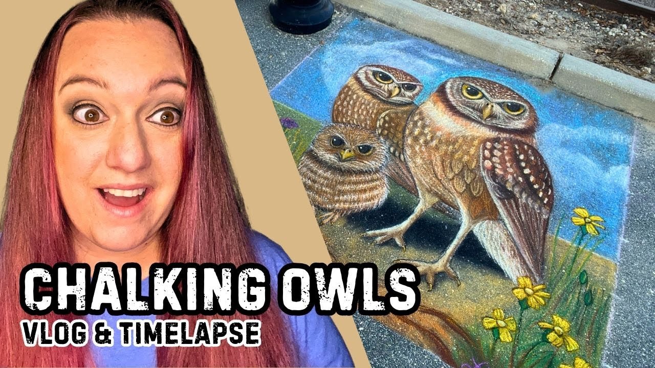 Chalking Burrowing Owls in COLD WEATHER | Vlog & Chalk Art Timelapse ...